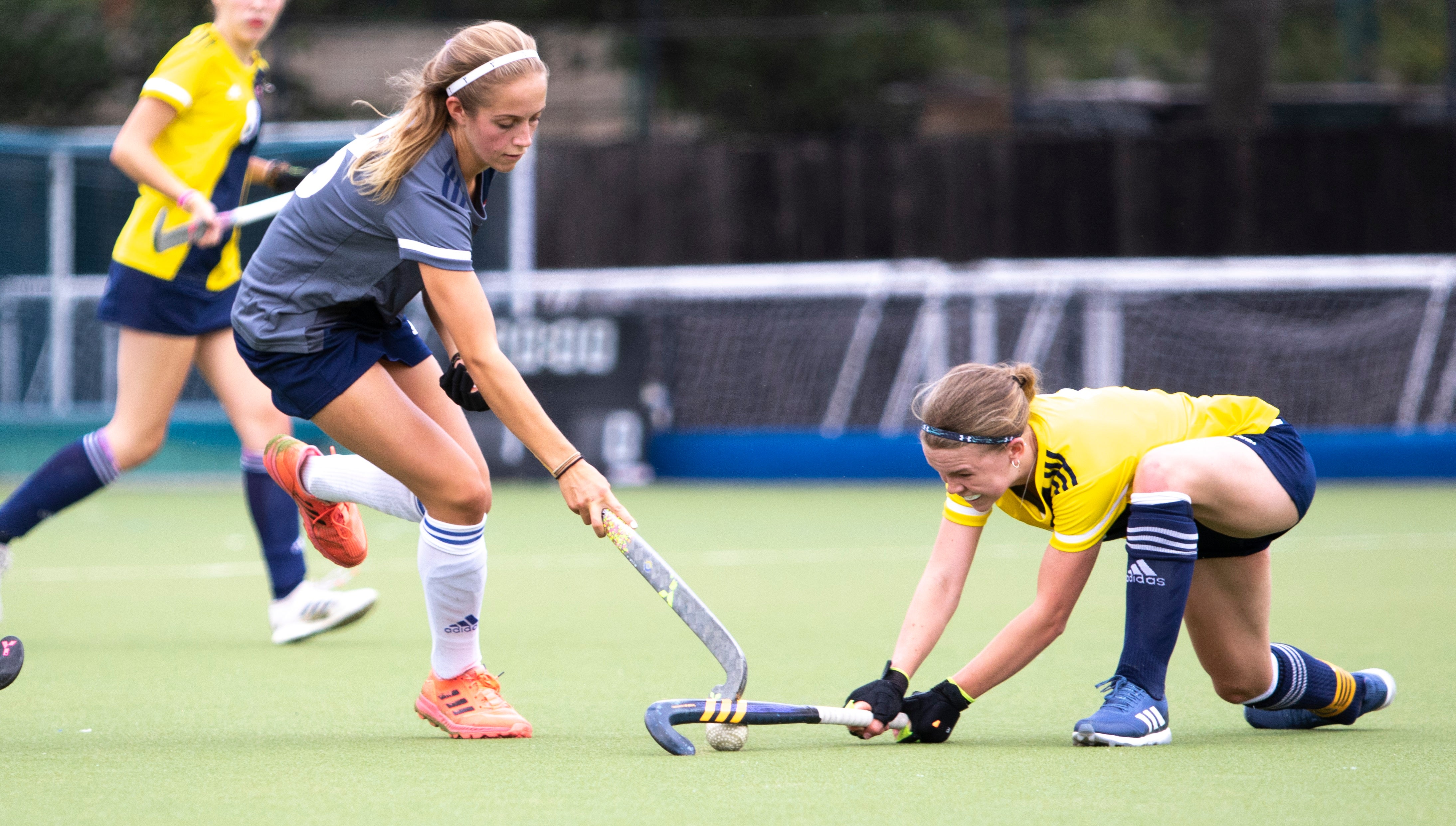 News | University of Bristol and Havant awarded Talent Academy Licenses for the 2023-24 cycle